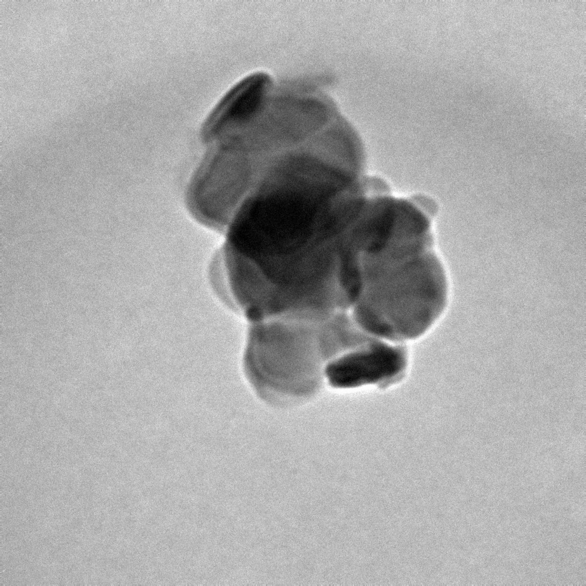 TEM Görüntüleri – Elektron Mikroskobu Birimi
