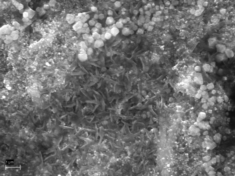 Diamond like carbon – Elektron Mikroskobu Birimi